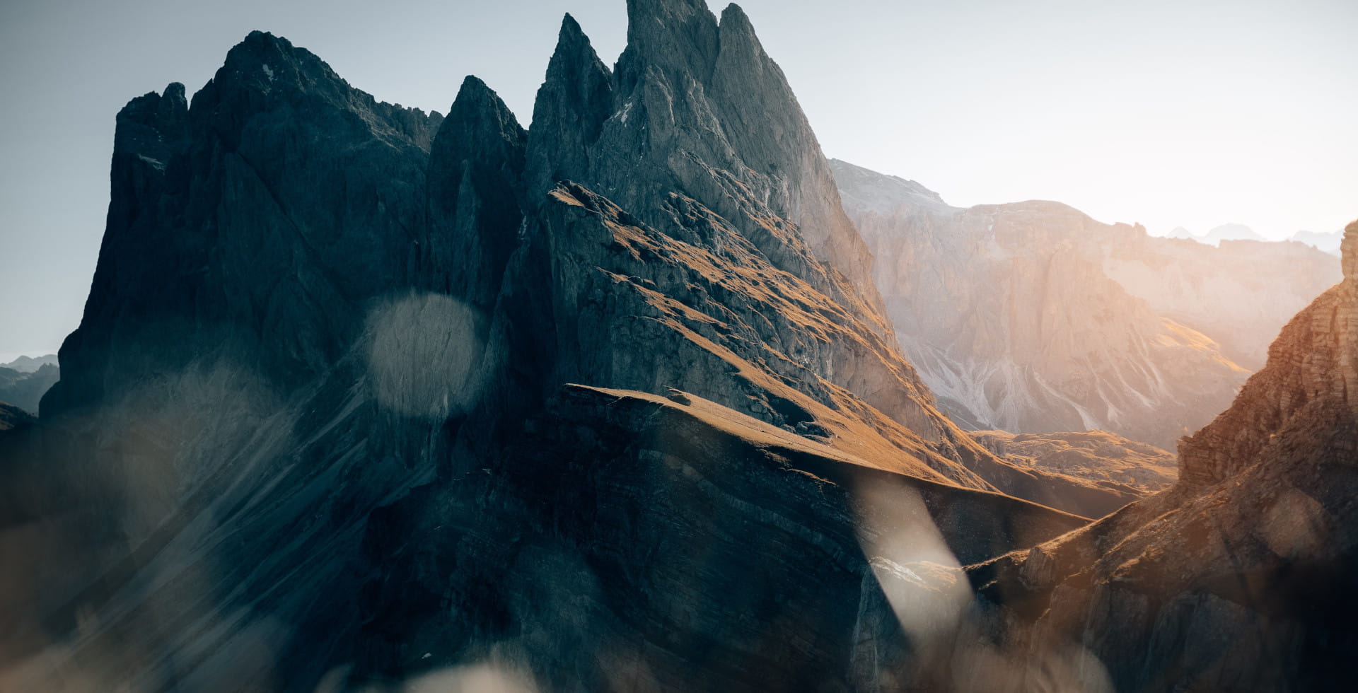 Insights & Strategies